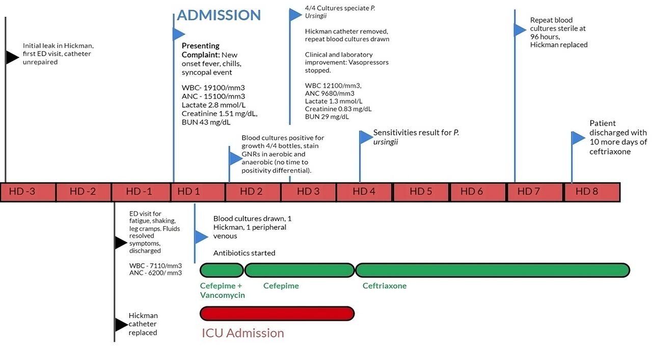 Gram-negative sepsis caused by a rare pathogen Phytobacter ursingii ...