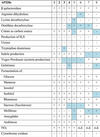 Gram-negative sepsis caused by a rare pathogen Phytobacter ursingii ...