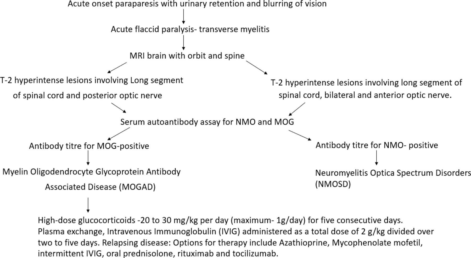 Myelin oligodendrocyte glycoprotein antibody-associated disease ...